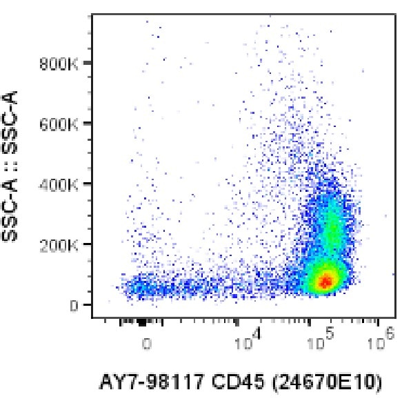 Flow Cytometry Staining Buffer (1X) PF00018 | Proteintech
