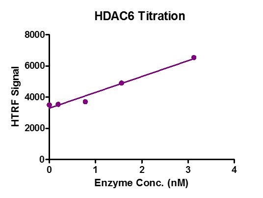 Recombinant HDAC6 protein | Proteintech