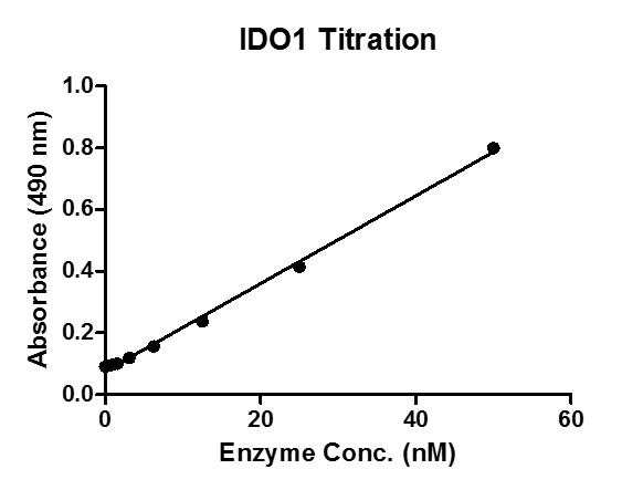 Recombinant IDO1 protein | Proteintech